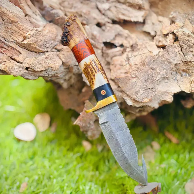 10" Handmade Damascus Steel Gut hook hunting Skinner Knife W/ Stag Hor ...